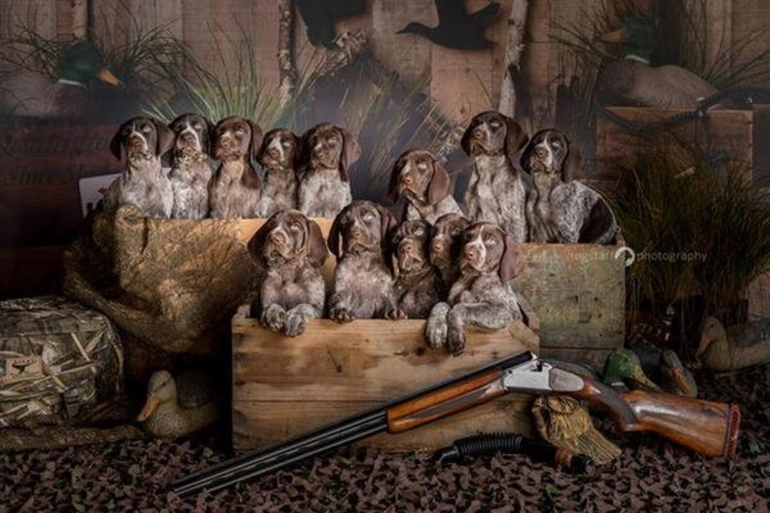 Duck Hunt -photography Printed Backdrop- Fabric Backdrop- Polypaper ...