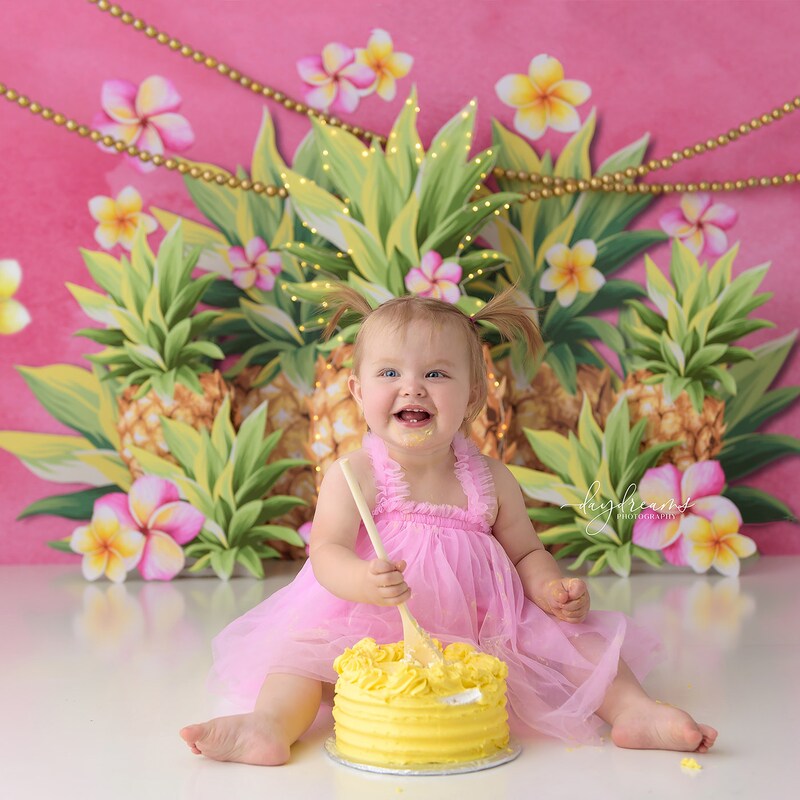 Pineapple Backdrop - Etsy