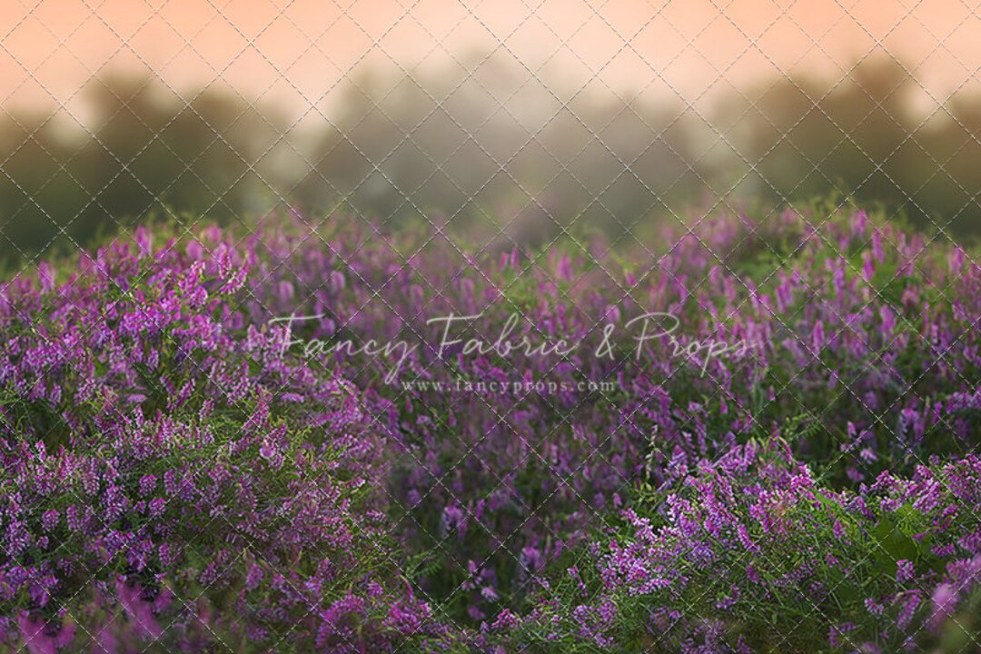 Love in Lavender Poly Paper Photography Backdrop - Etsy