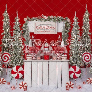 Candy Cane Celebration - Christmas Photography Backdrop - Candy Canes ...