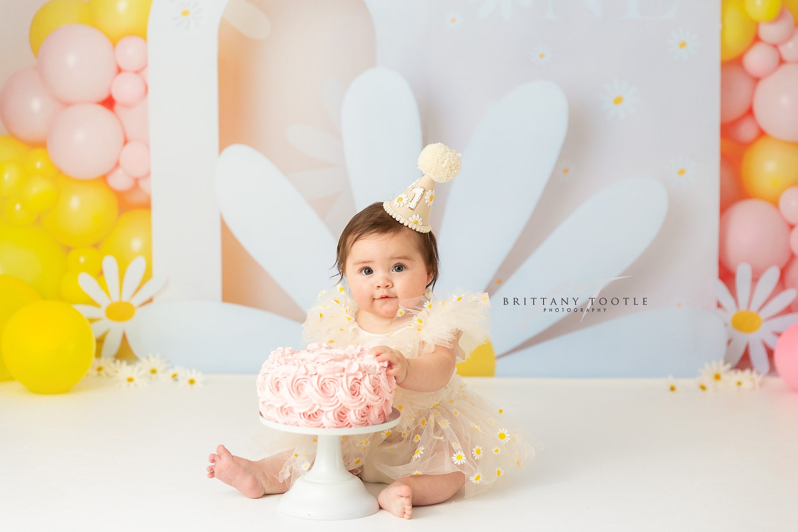 Daisy Wonder - Photography Printed Backdrop- Fabric Backdrop- Polypaper ...