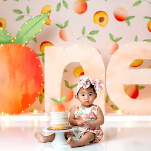 Peachy One Wrinkle Free Fabric Photography Backdrop - Etsy
