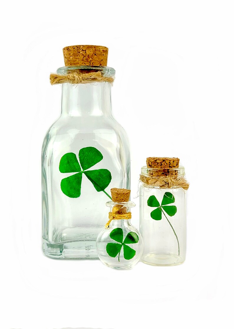 Real Four Leaf Clover in Corked Bottle, Perfect for a Leprechaun Trap ...
