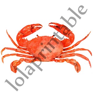 Crab Digital Print: red CRAB Prints Watercolor - Etsy