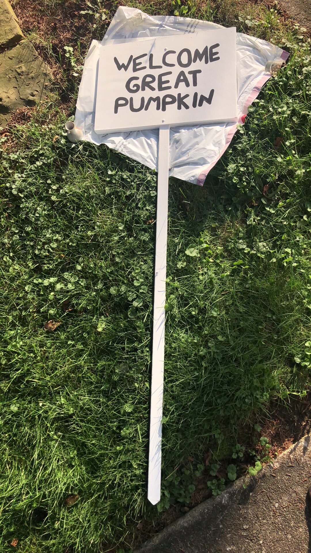 Welcome Great Pumpkin Stand up Sign - Etsy