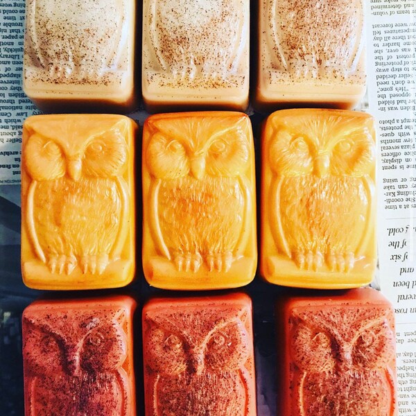 Owl Soap - Etsy