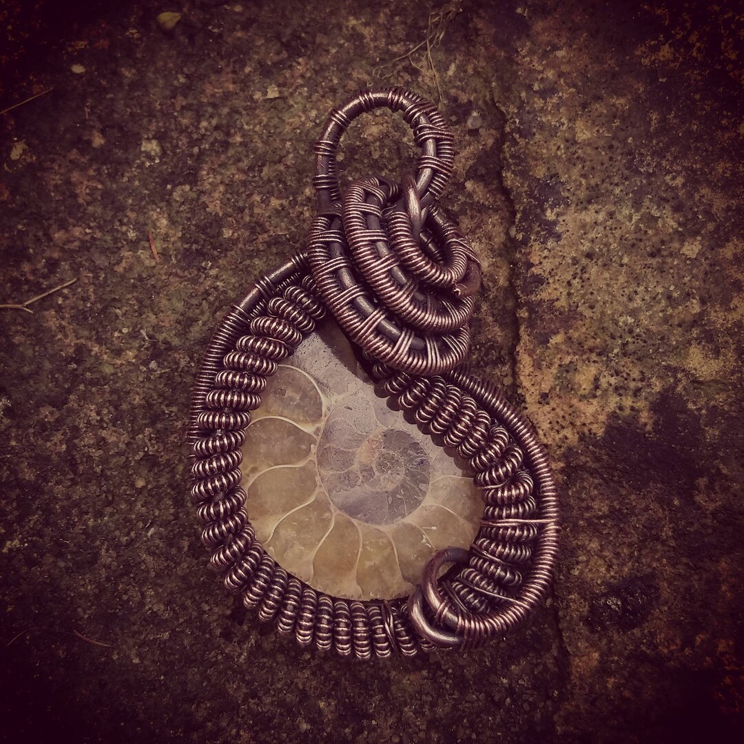 Wire Wrapped Ammonite Pendant - Etsy UK