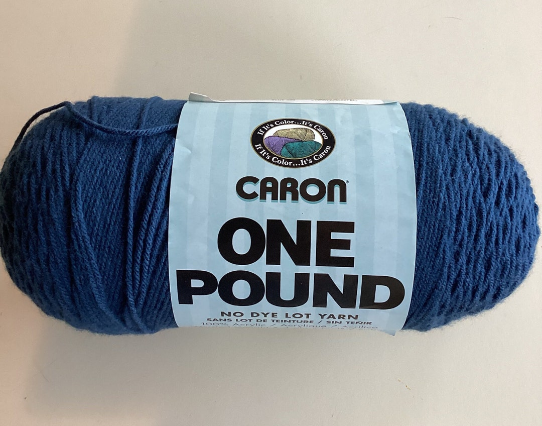 Yarn. Caron One Pound Skein of Acrylic Yarn. Cape Cod Blue 539. - Etsy