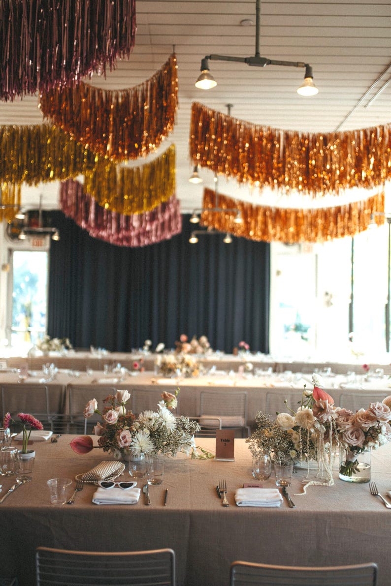 Metallic Ceiling Fringe, Shiny Fringe, Hanging Streamer, Party Decor ...