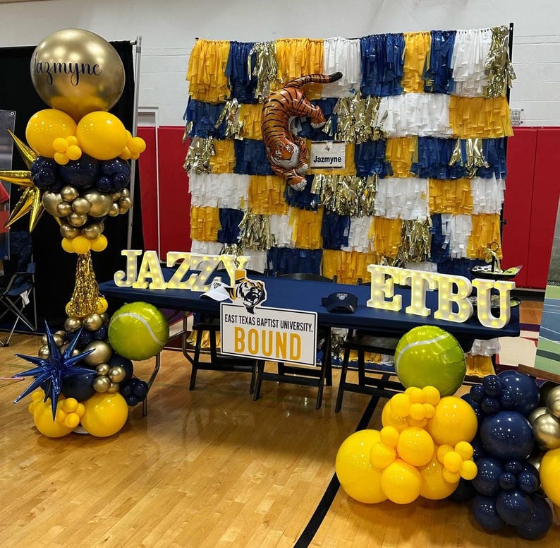 Custom Fringe Backdrop, Photo Backdrop, Fringe Decor, Party Backdrop ...