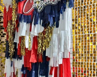 Custom Fringe Backdrop, Photo Backdrop, Fringe Decor, Party Backdrop ...