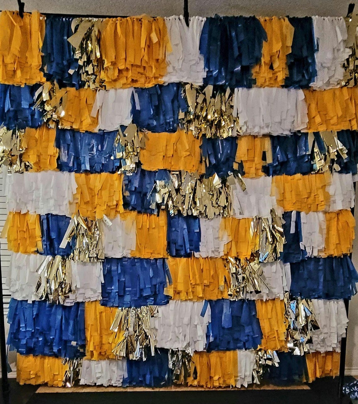 Custom Fringe Backdrop, Photo Backdrop, Fringe Decor, Party Backdrop ...