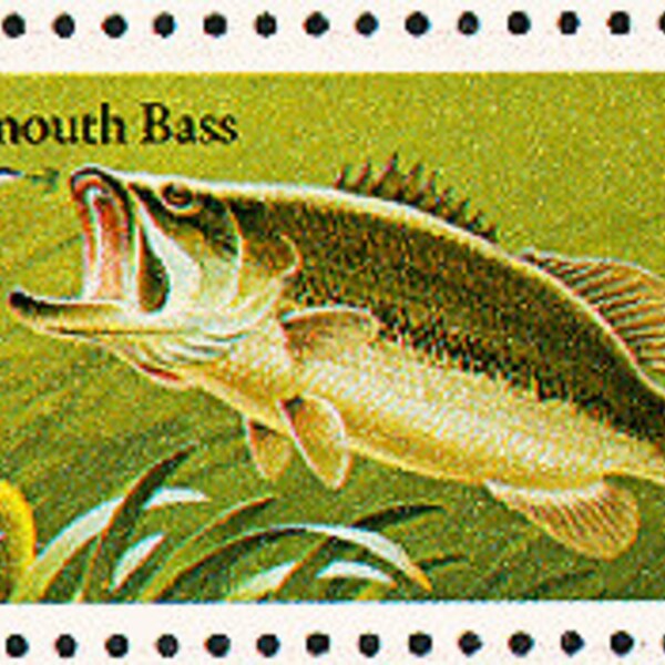 Fishing Stamps - Etsy