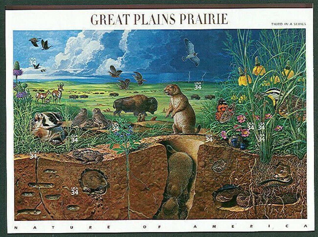 GREAT PLAINS PRAIRIE Sheet of 10 Diff 2001 34c Unused Postage Stamps ...