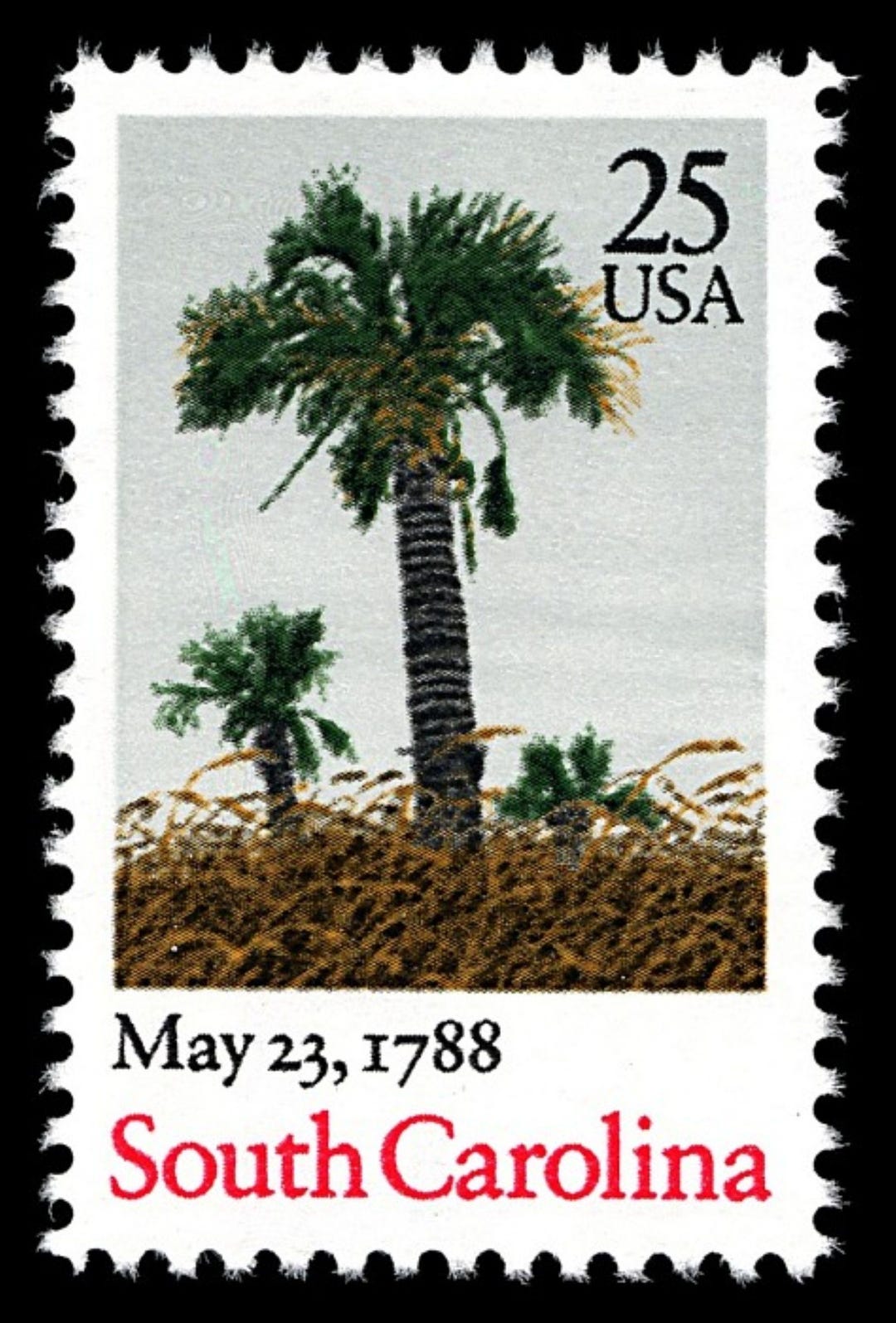 5x SOUTH CAROLINA Palm Tree Charleston Myrtle Beach Hilton Head 1988 ...