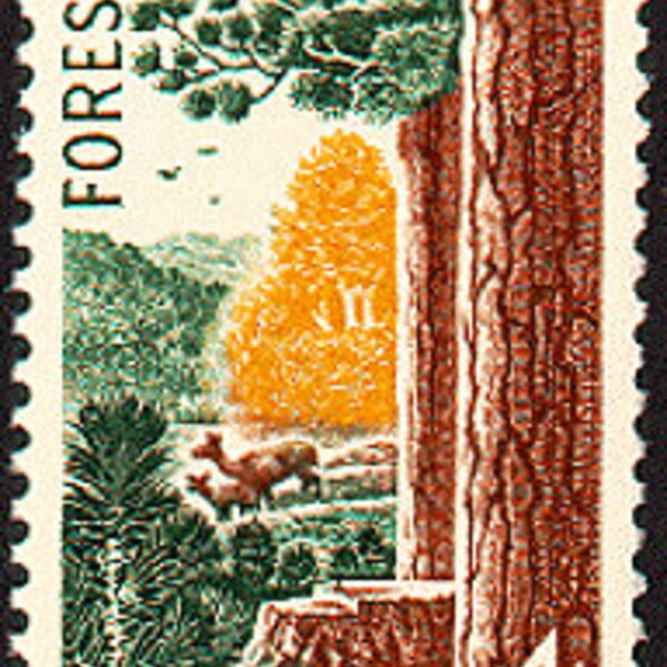 Forest Stamp - Etsy