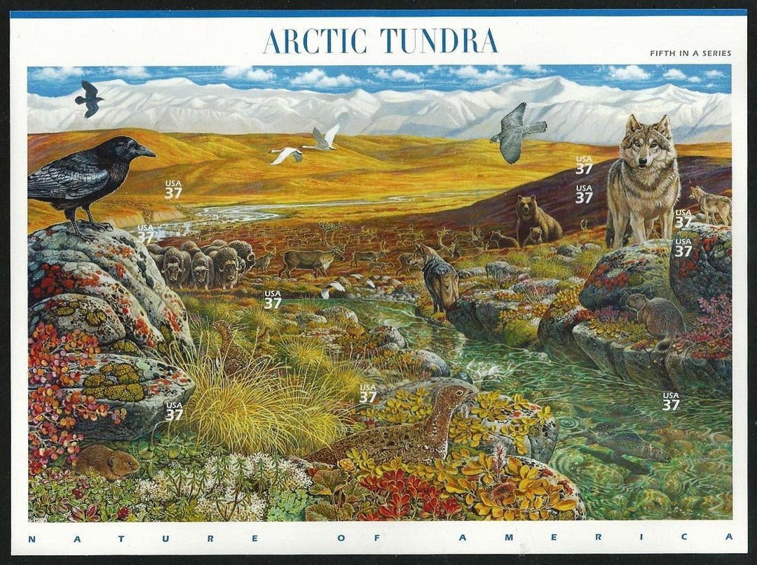 ARCTIC TUNDRA Sheet of 10 Diff 2003 37c Unused Postage Stamps Free ...