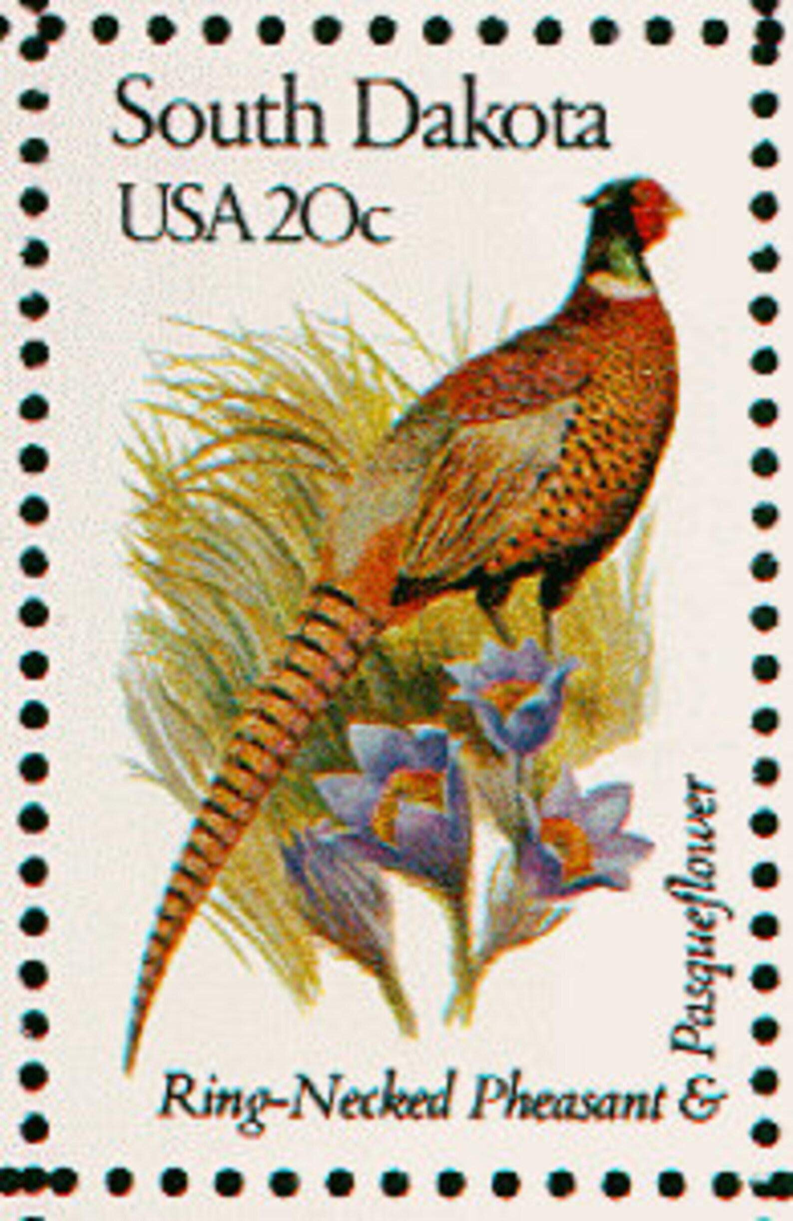 7x SOUTH DAKOTA State Bird & Flower Flora Fauna 1982 20c - Etsy