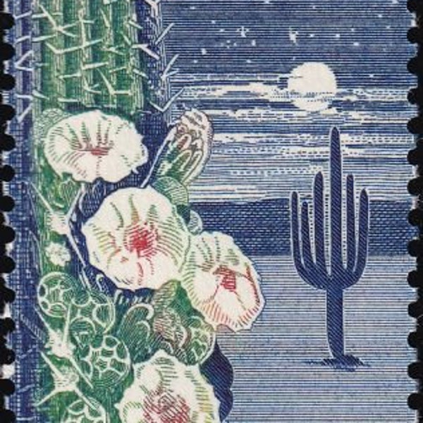 Arizona Tucson - Etsy