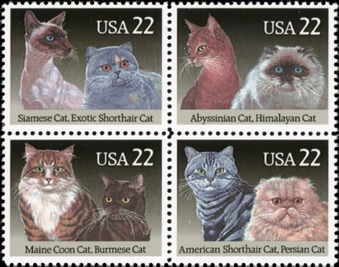 12x CATS Siamese Burmese Exotic Persian 4 Diff 1988 22c Unused Postage ...