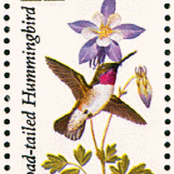 Hummingbird Stamp - Etsy