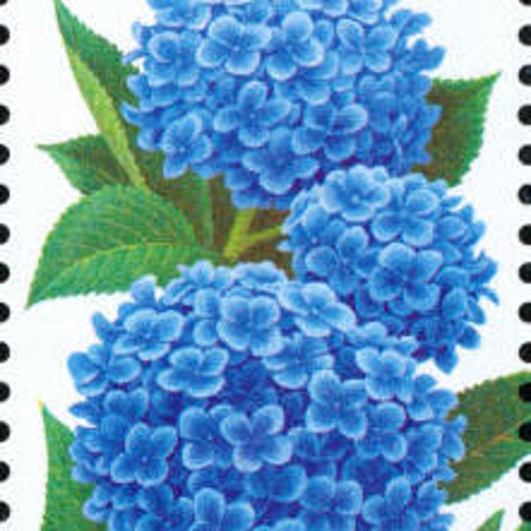 Hydrangea Stamp - Etsy