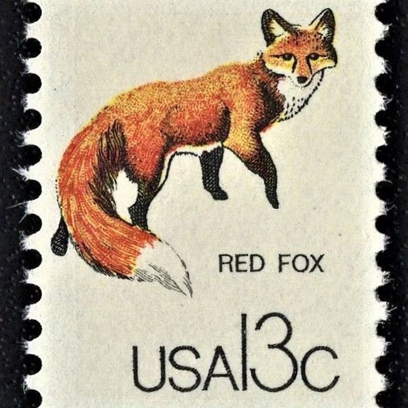 Fox Stamp - Etsy