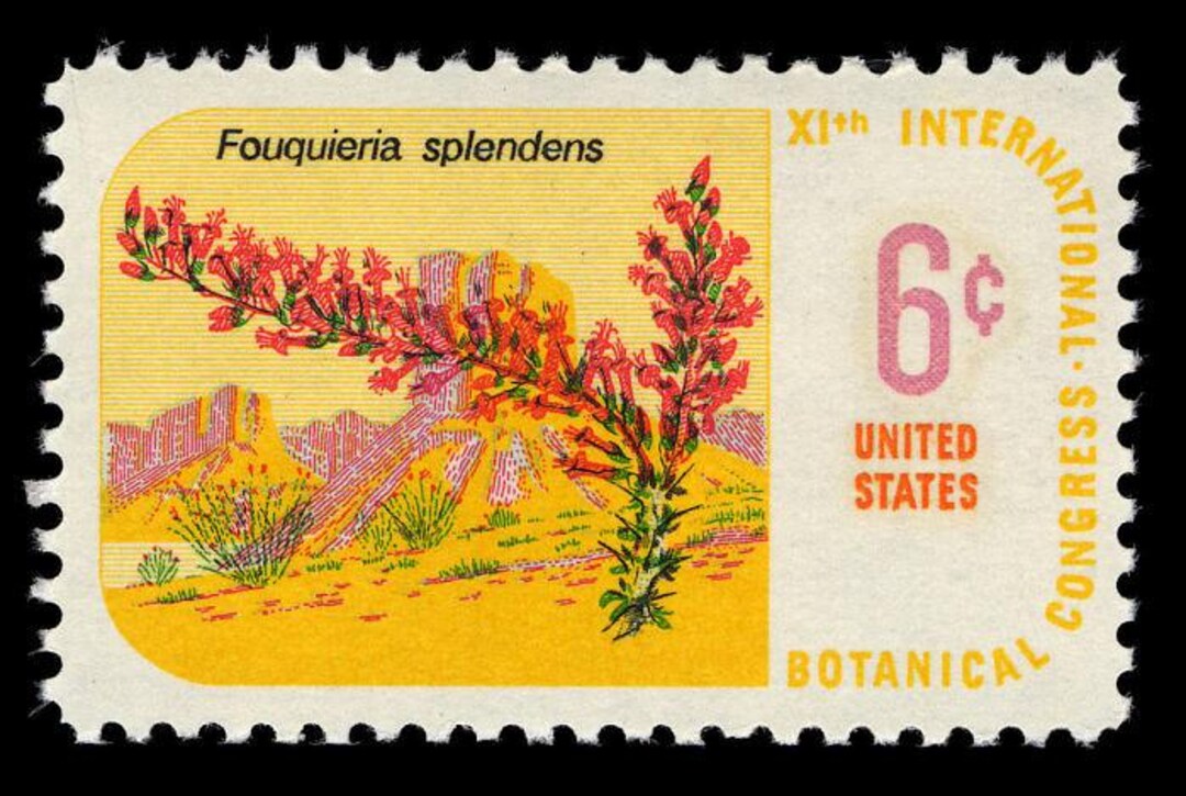 10x Ocotillo BOTANICAL CONGRESS Flowers 1969 6c Yellow Unused Postage ...