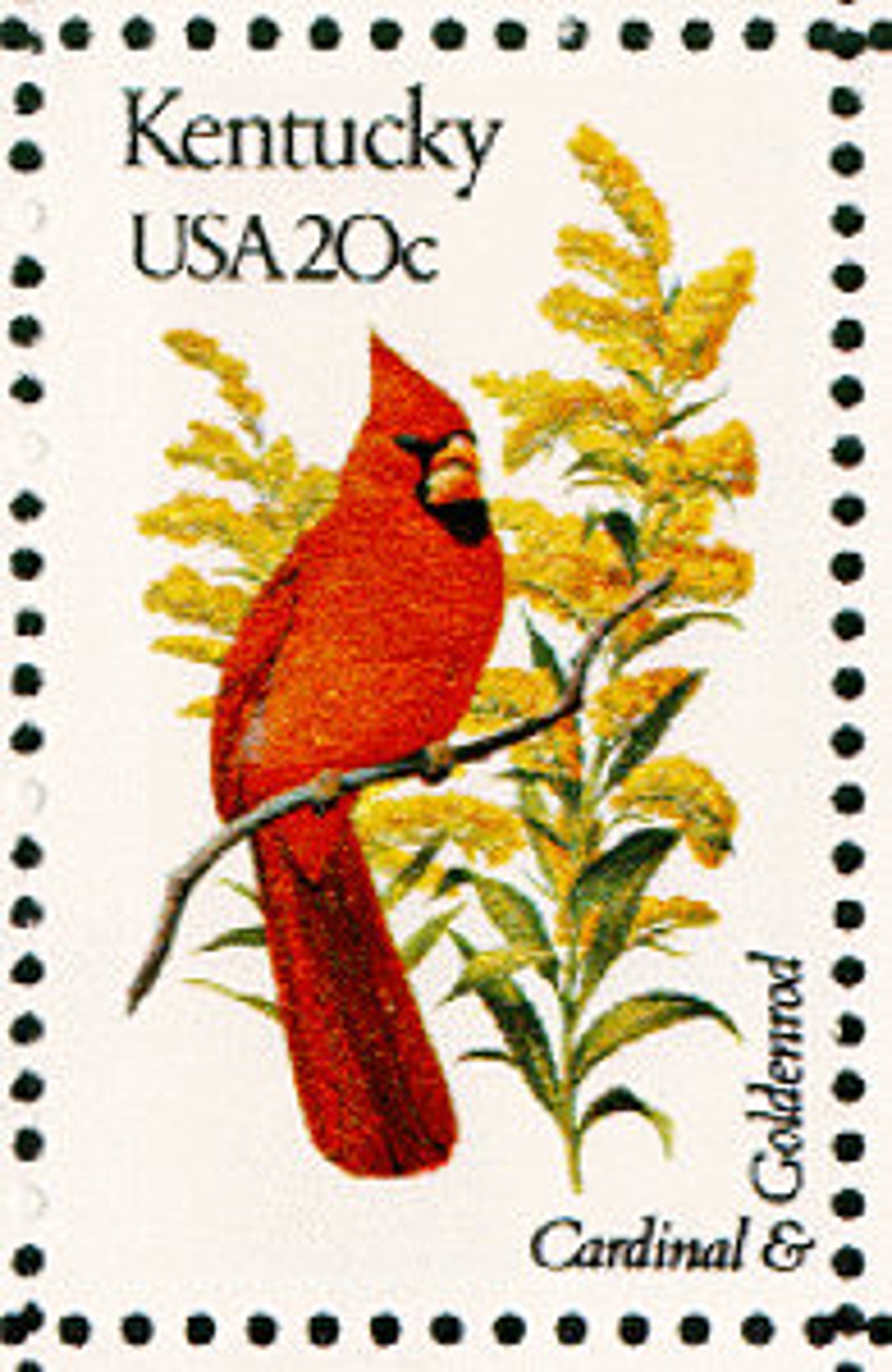 7x KENTUCKY State Bird & Flower Flora Fauna 1982 20c Unused - Etsy