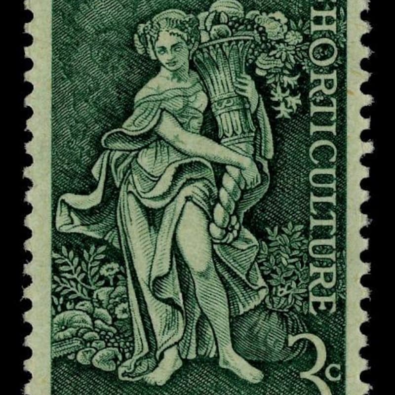 Stamp Horticulture - Etsy