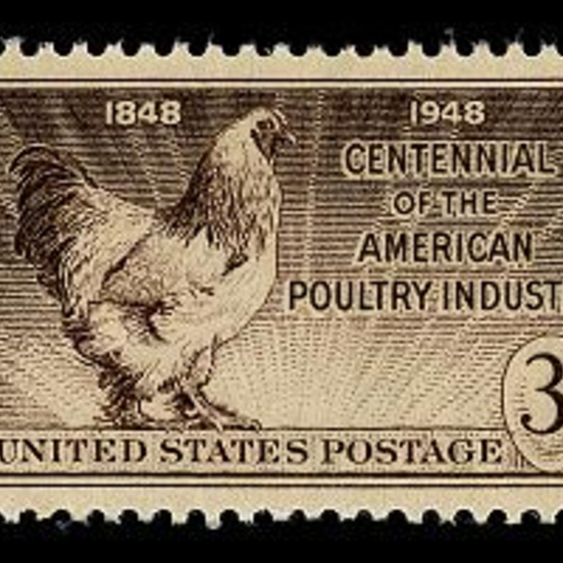Chicken Stamps - Etsy