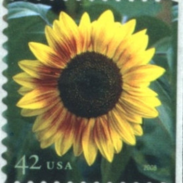 Sunflower Stamp - Etsy