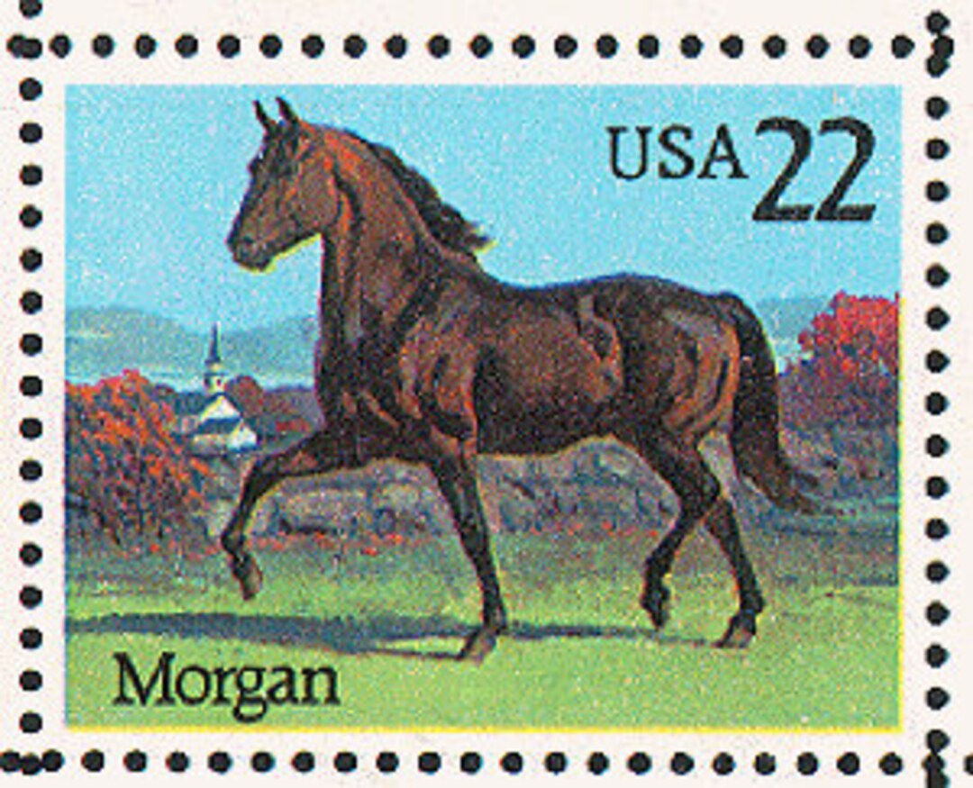 8x MORGAN HORSES 1985 22c Unused Vintage Postage Stamps Free Shipping ...