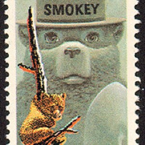 SMOKEY BEAR Forest Fires FIREFIGHTING 1984 20c Gray Postage Stamp Free ...