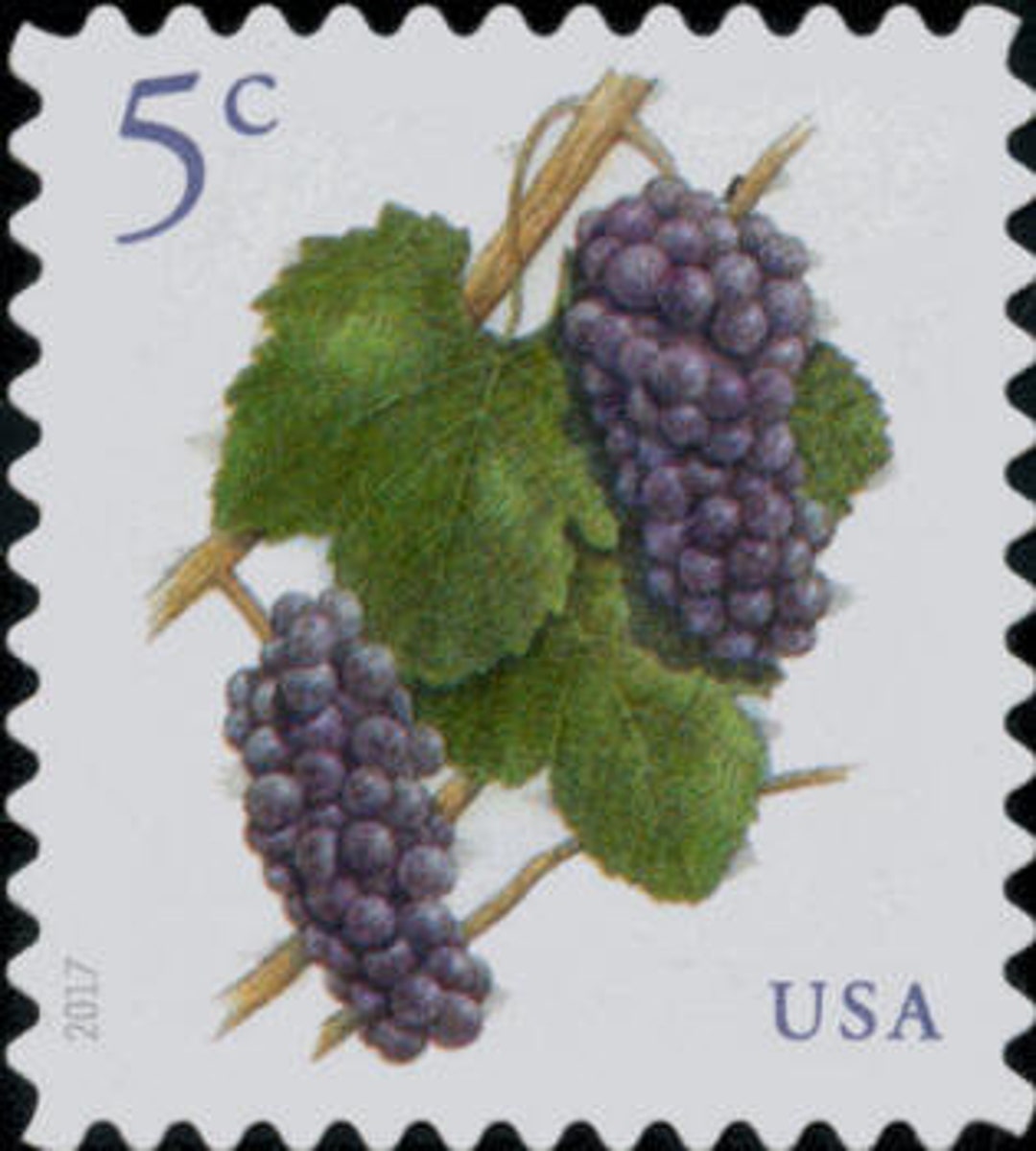20x GRAPES Wine Purple 5c Unused Postage Stamp. Free Shipping! #1 ...
