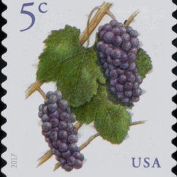 Wine Stamp - Etsy