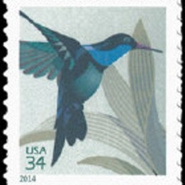 Hummingbird Stamp - Etsy