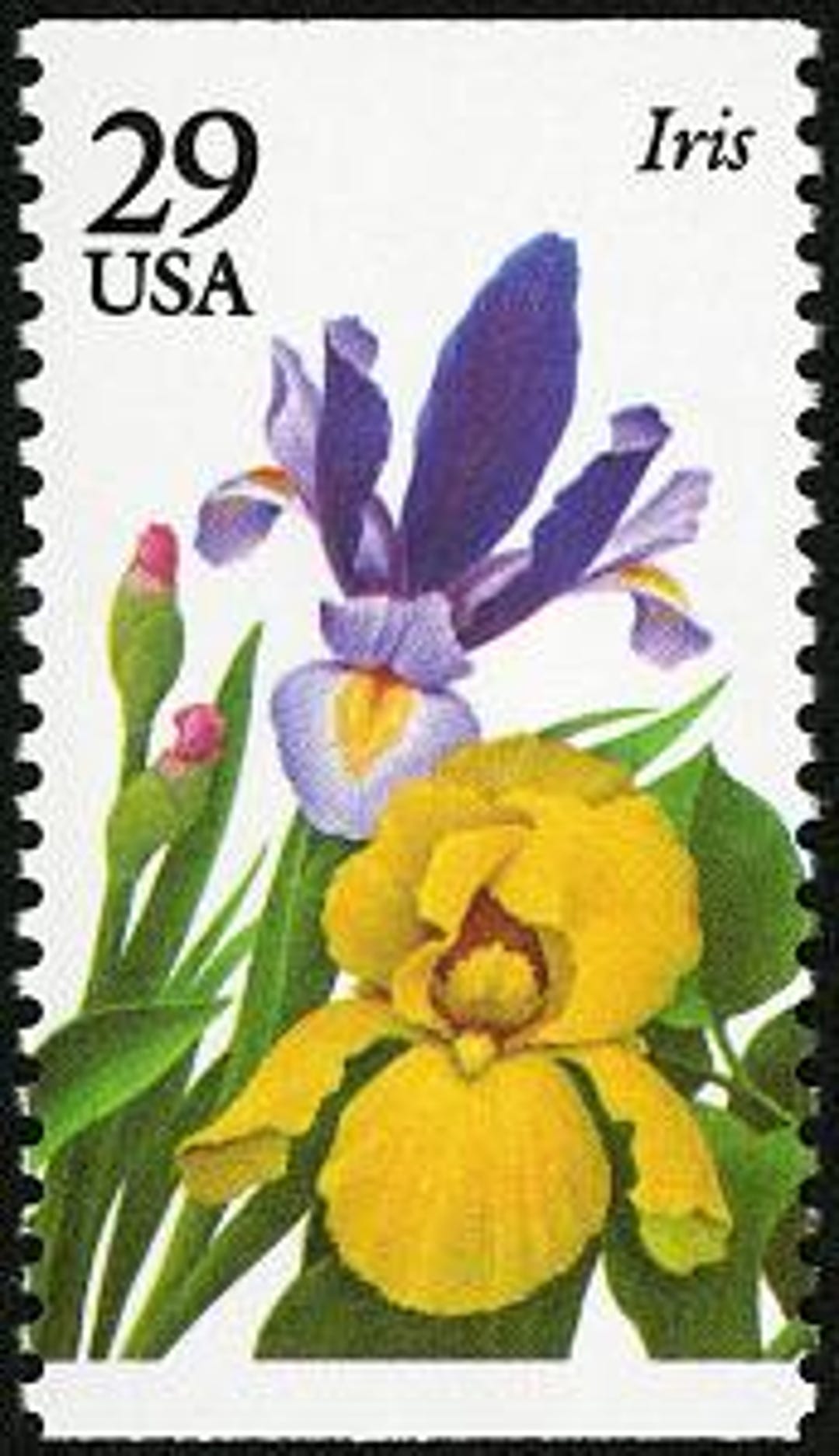 5x Iris GARDEN FLOWERS Botanical 1993 29c Unused Postage Stamp Free ...