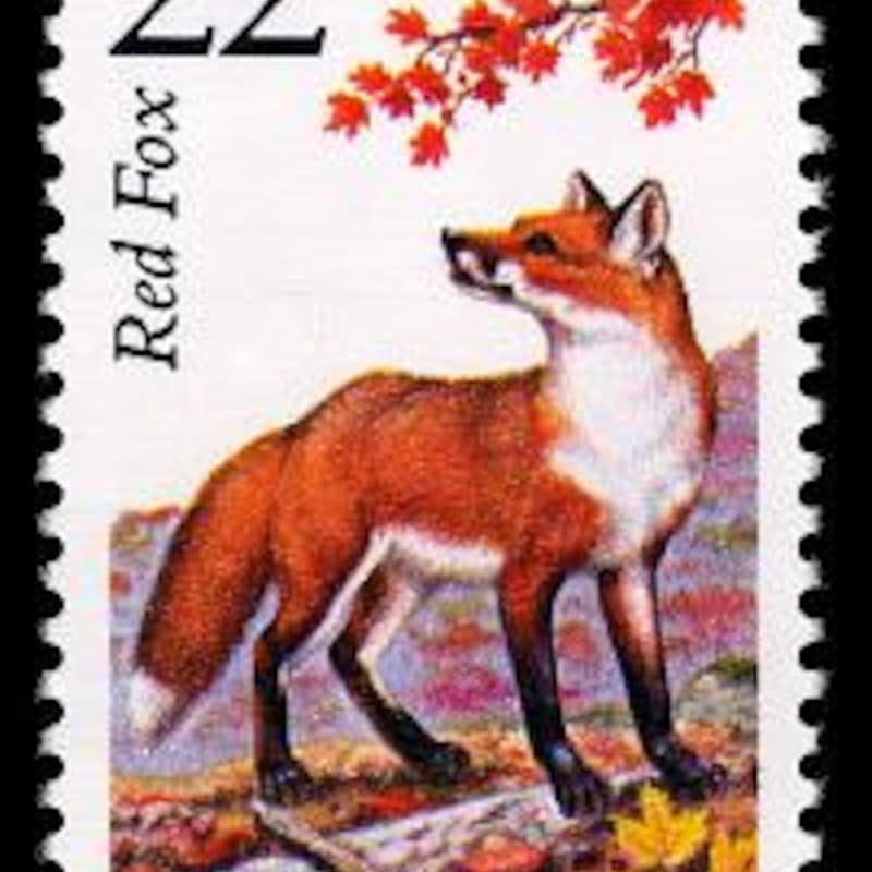 Fox Rubber Stamp - Etsy