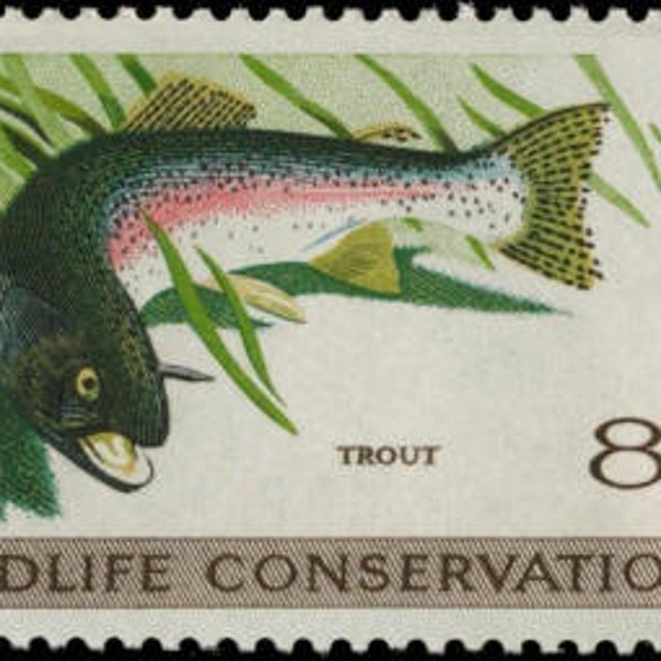 Fish Rubber Stamp - Etsy