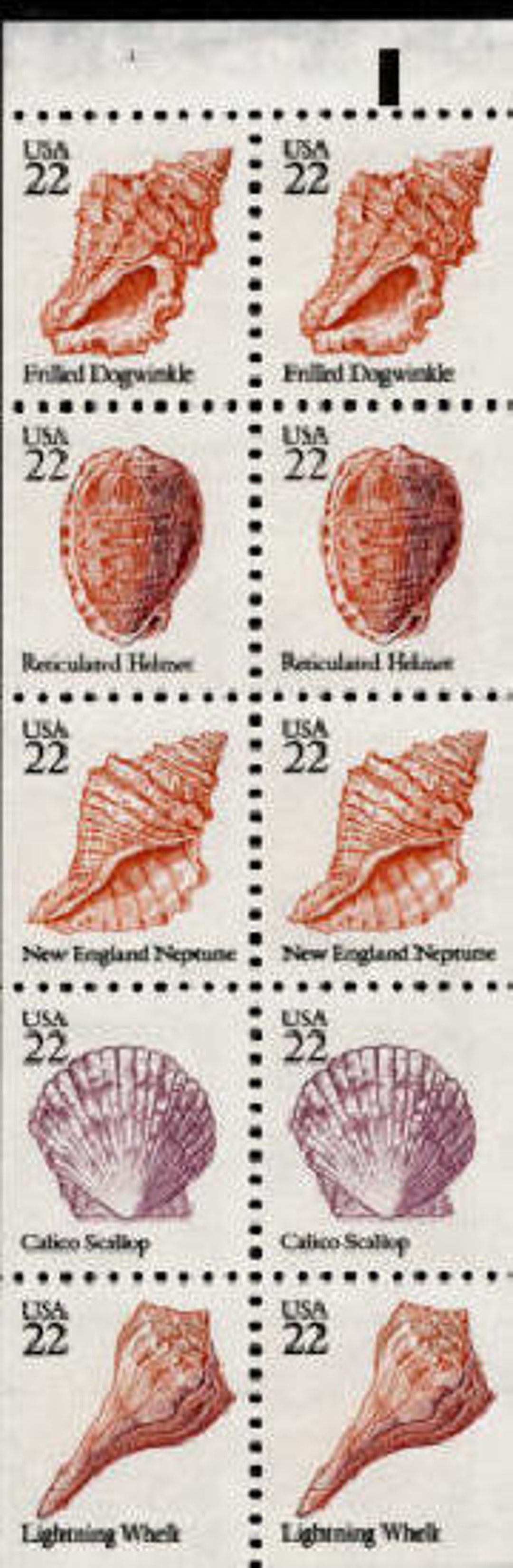 SEASHELLS Beach Shells Ocean 5 Diff 1985 22c Unused Postage Stamps Free ...