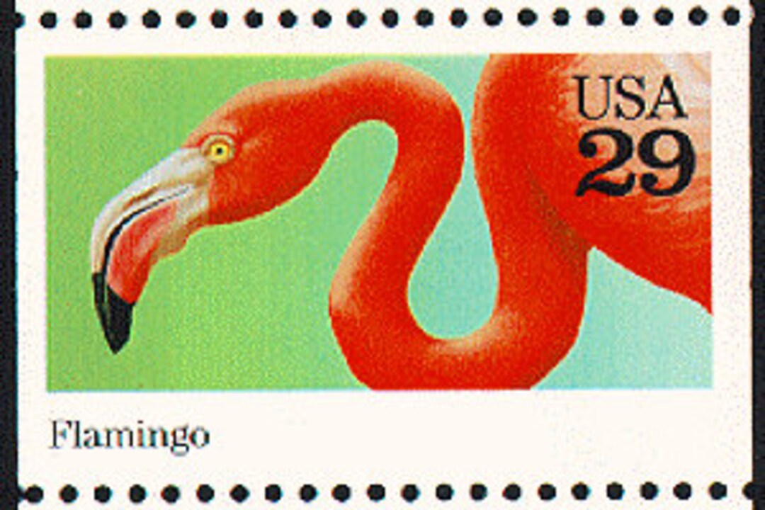 5x FLAMINGO BIRD Zoo Animals 1992 29c Vintage Postage Stamp Free ...