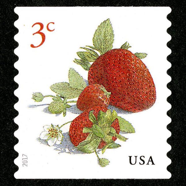 Strawberry Stamp - Etsy