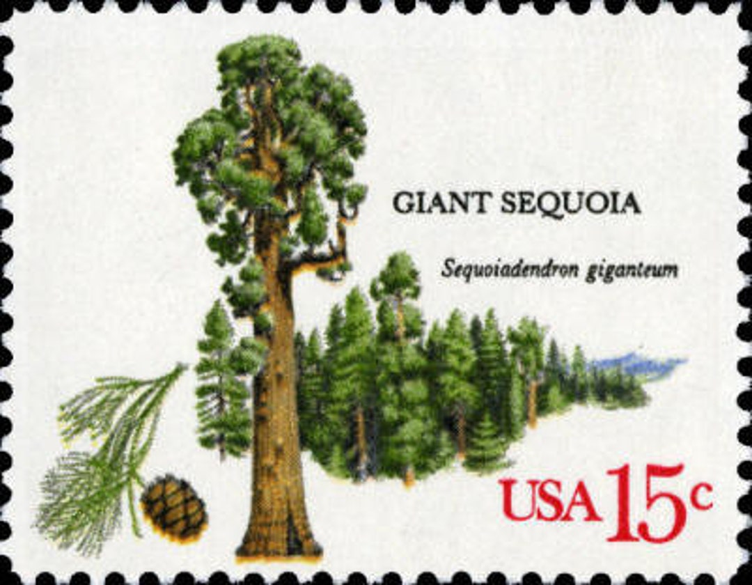 7x TREES Giant Sequoia Botanical Botany 1979 15c Unused Postage Stamps ...