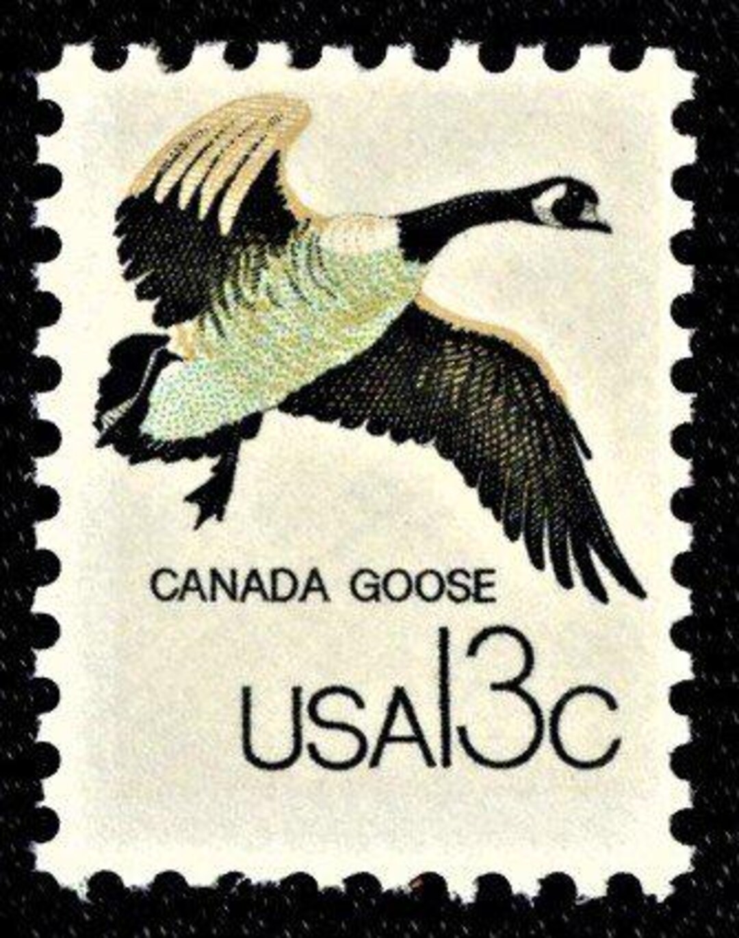 15x GOOSE BIRD Geese Canadian 1978 13c Unused Postage Stamp Free ...