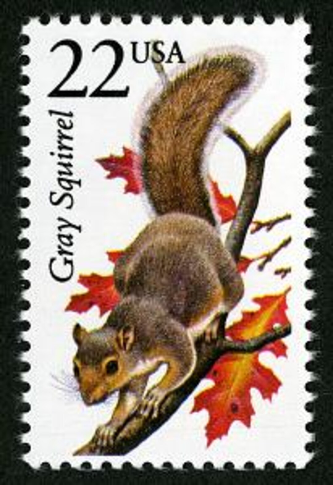 5x GRAY SQUIRREL American Wildlife 1987 22c Unused Postage Stamp Free ...