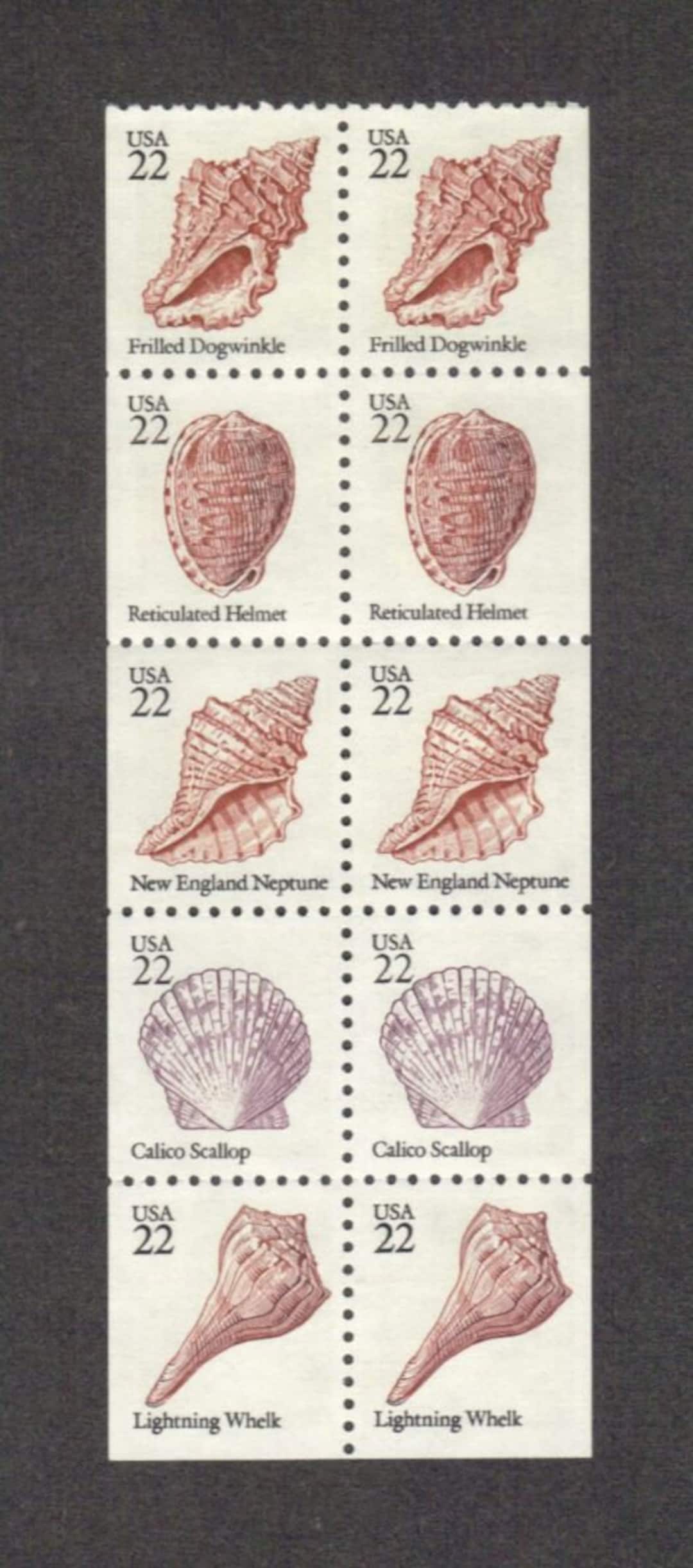 SEASHELLS Beach Shells Ocean 5 Diff 1985 22c Brown Unused Postage ...