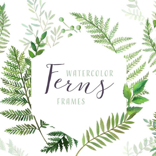 Watercolor Fern Frames Clipart Greenery Leaves Geometric - Etsy