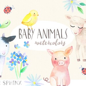 Baby Animals Watercolor Clipart | Springtime Farm Animals - Baby Pig ...