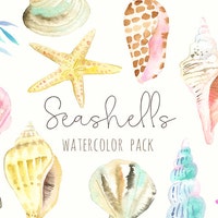 WATERCOLOR CLIPART, Tide Pool Clipart, Ocean Beach Summer Vacation ...